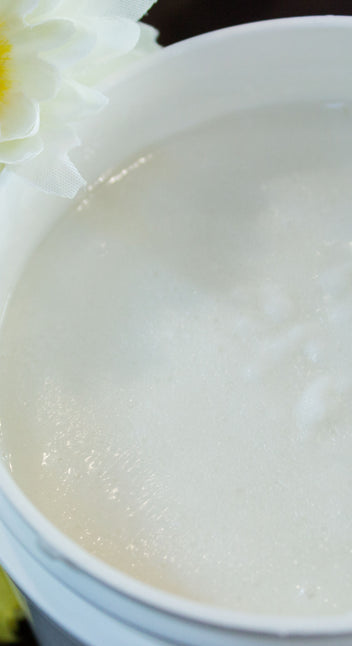 Kitchen and Bath Scouring Paste – Voyageur Soap & Candle